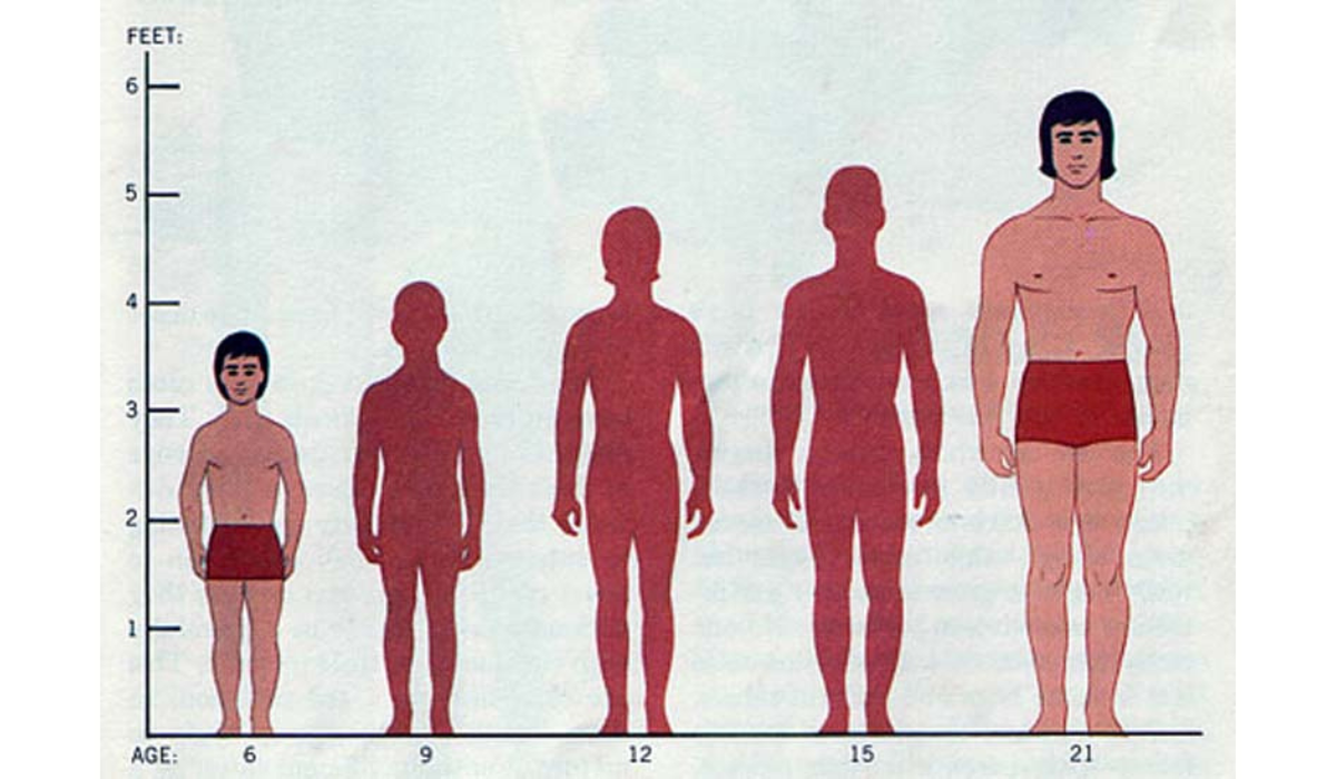 Height Conversions Made Easy How To Convert 175cm In Feet Height Conversions Made Easy How To Convert 175cm In Feet